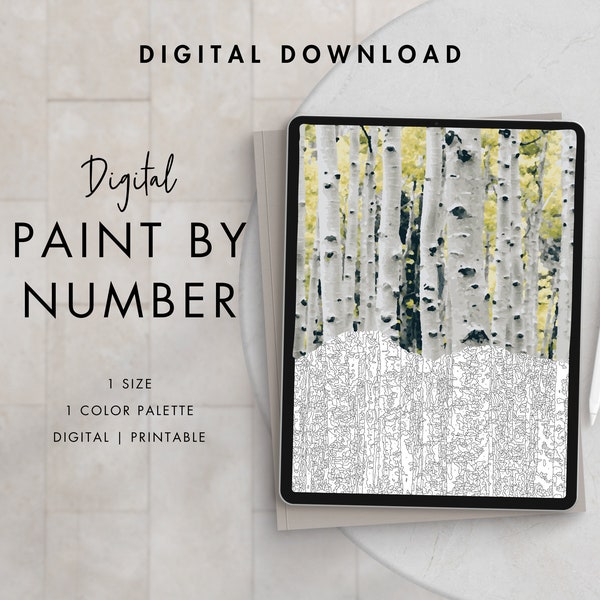 Adult Paint by Number Printable - Etsy