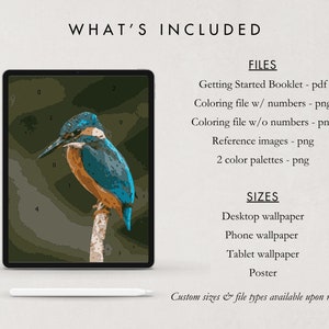 Bird Paint by Number Kit Adult | Printable & Digital Download Art ...