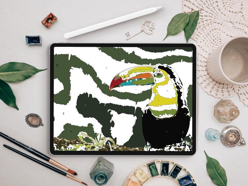 Toucan Paint by Number Kit Adult | Printable & Digital Download | Color ...