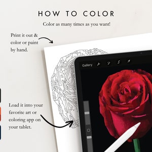 Red Rose Paint by Number Kit Adult | Printable & Digital Download Art ...