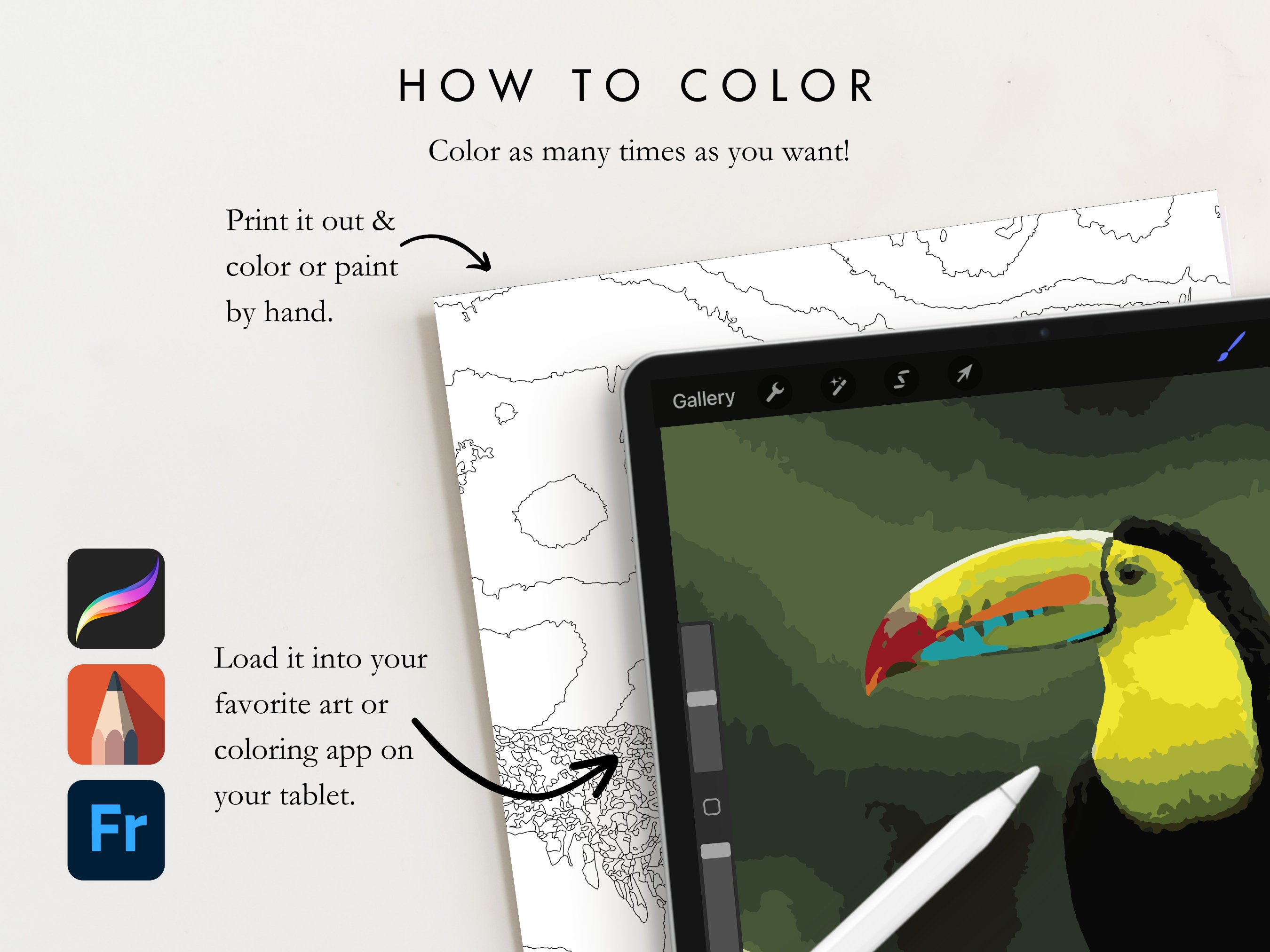 Toucan Paint by Number Kit Adult | Printable & Digital Download | Color ...