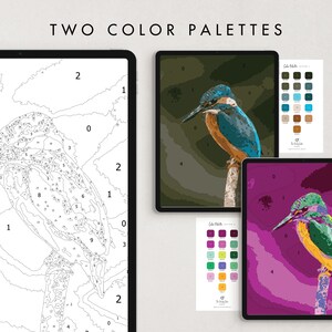 Bird Paint by Number Kit Adult | Printable & Digital Download Art ...