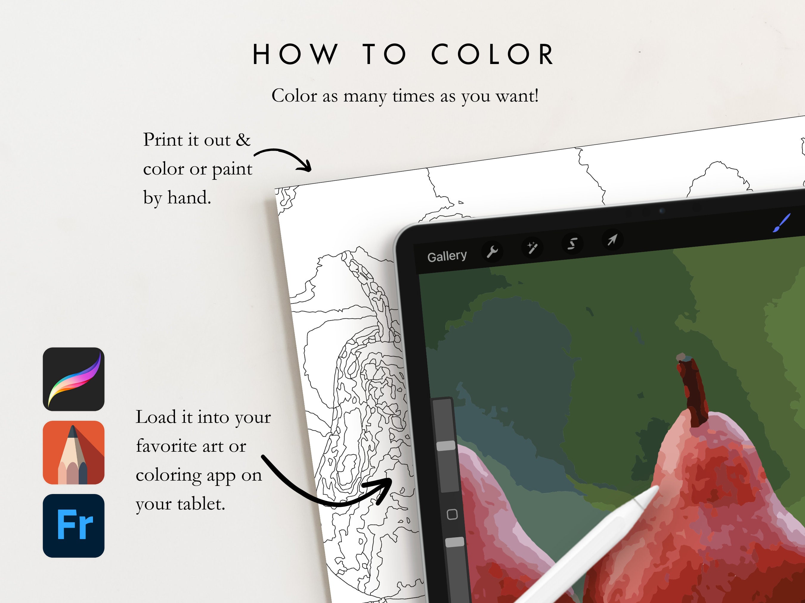 Pear Fruit Still Life Paint by Number Kit Adult | Printable & Digital ...