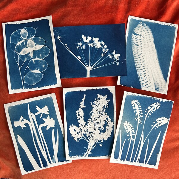 Cyanotype Cards - Etsy UK