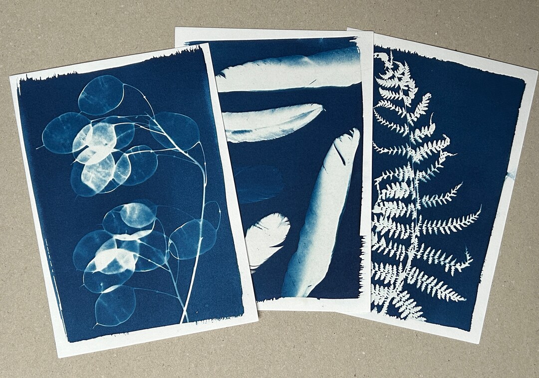 Original A5 Choice of 9 Cyanotype Print Botanical Blue Print One of a ...