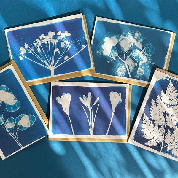 Cyanotype Cards - Etsy UK