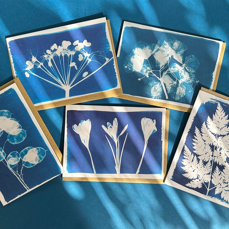 Cyanotype Cards - Etsy UK