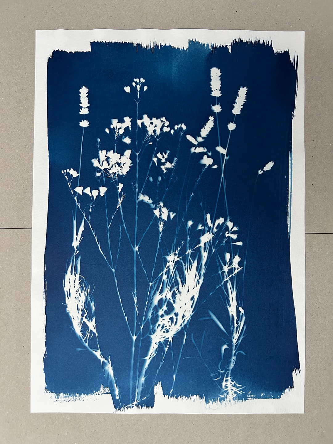 Original A3 Cyanotype Botanical Sun Print in Blue and White, Made in ...