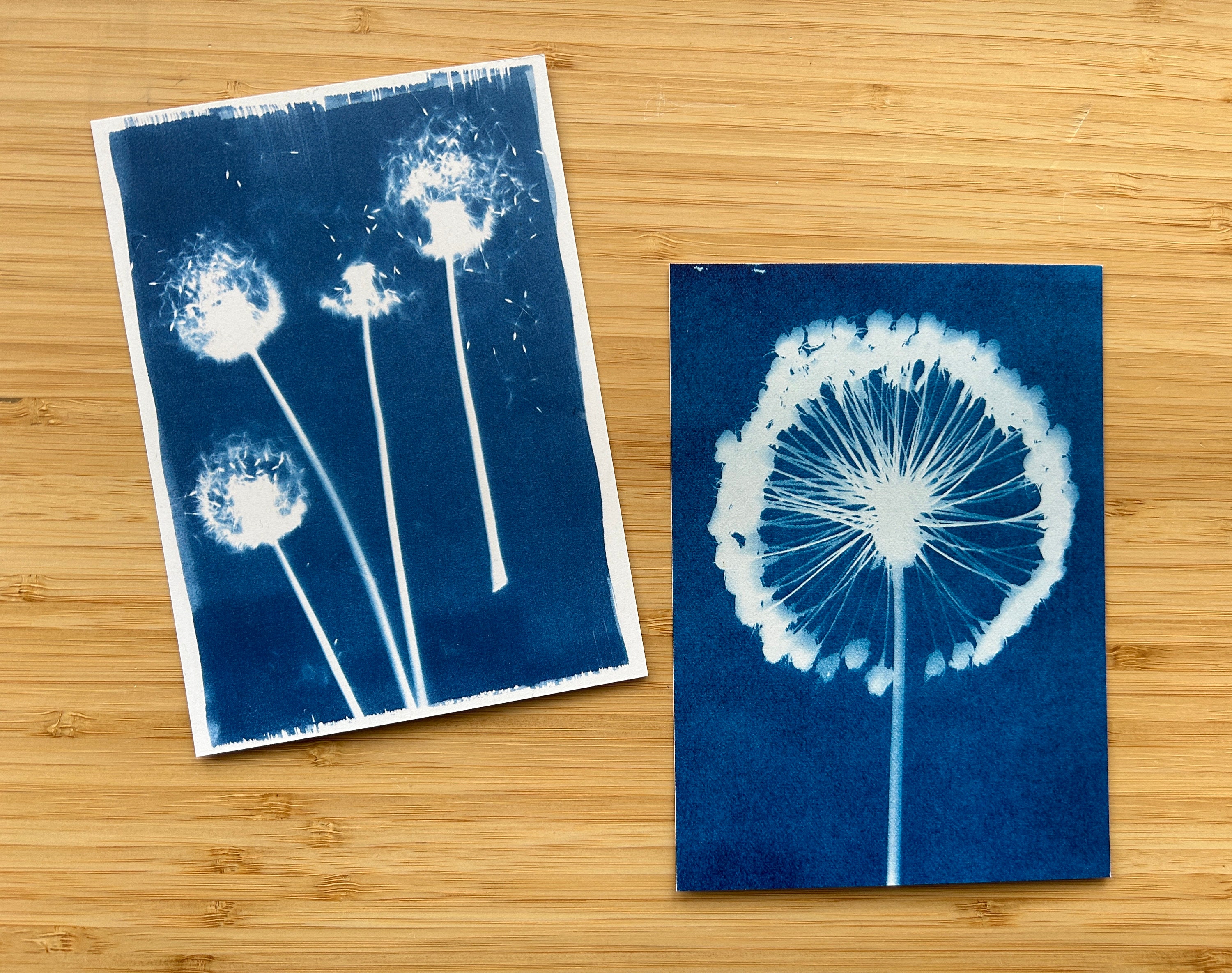 A6 Cyanotype Art Print Postcards Choice of 6 or Set of All 6 - Etsy UK