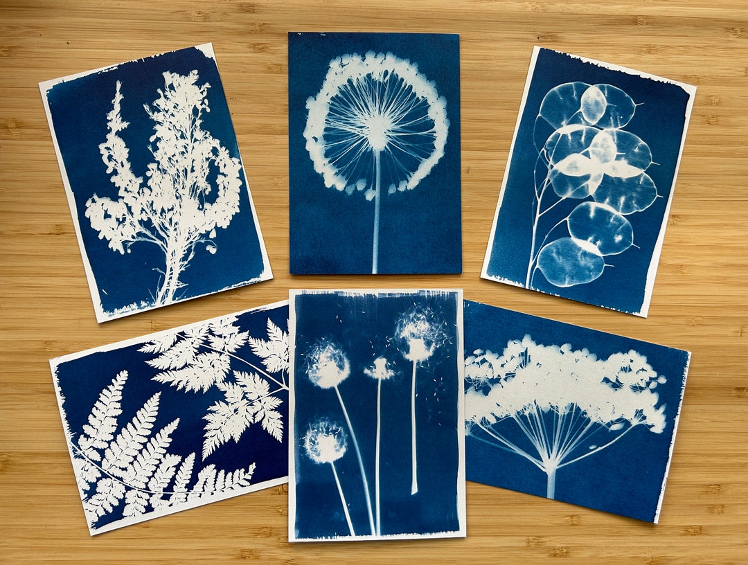 A6 Cyanotype Art Print Postcards Choice of 6 or Set of All 6 - Etsy UK