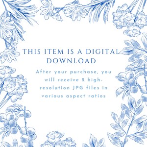 St Clare of Assisi Hand-drawn Illustration, Digital Download, Original ...