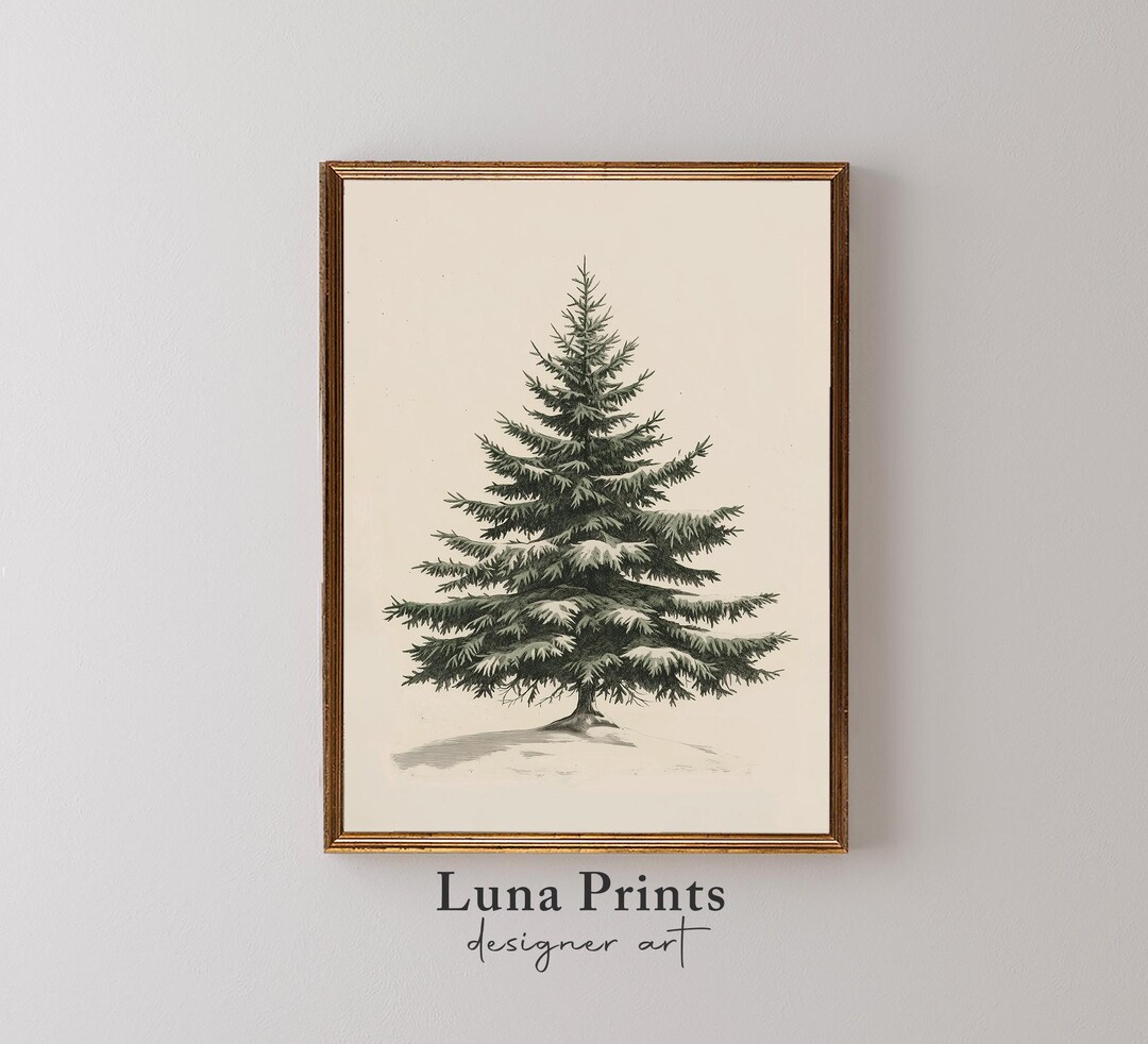 Vintage Tree Art, Printable Evergreen Winter Botanical, Vintage ...