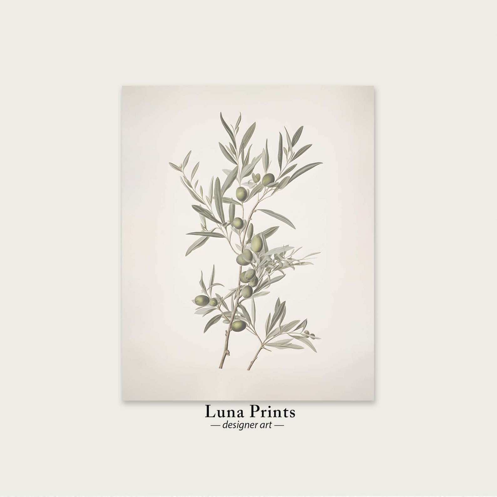 Olive Branch Botanical Print | PRINTABLE ART | Vintage Nature ...
