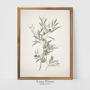 Olive Branch Botanical Print | PRINTABLE ART | Vintage Nature ...