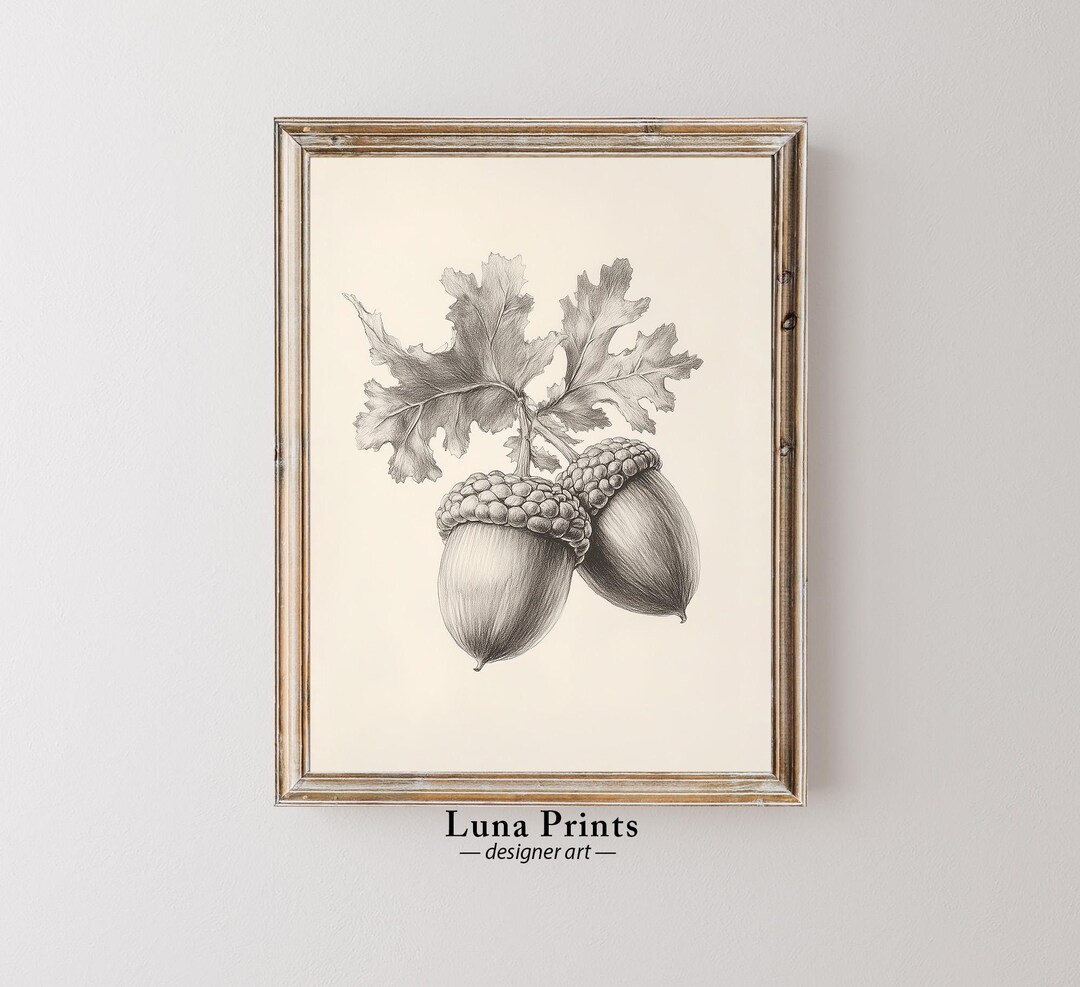 Vintage Acorn Art, PRINTABLE ART, Antique Fall Drawing, Neutral Autumn ...