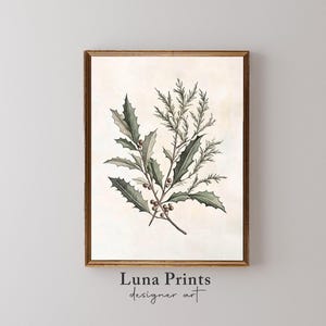 Vintage Holly Art, Printable Holly Berry Stems Christmas Wall Decor ...