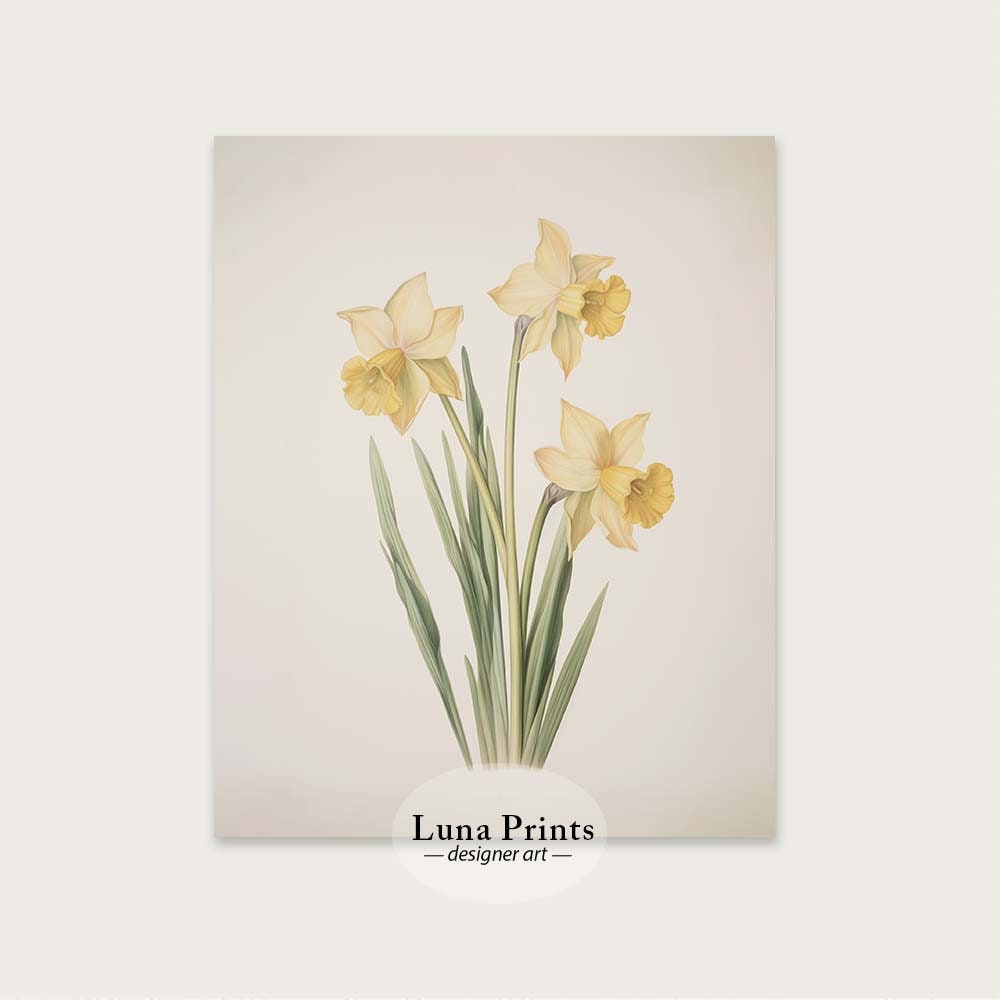 Daffodil Botanical Print, PRINTABLE ART, Vintage Botanical Art, Spring ...