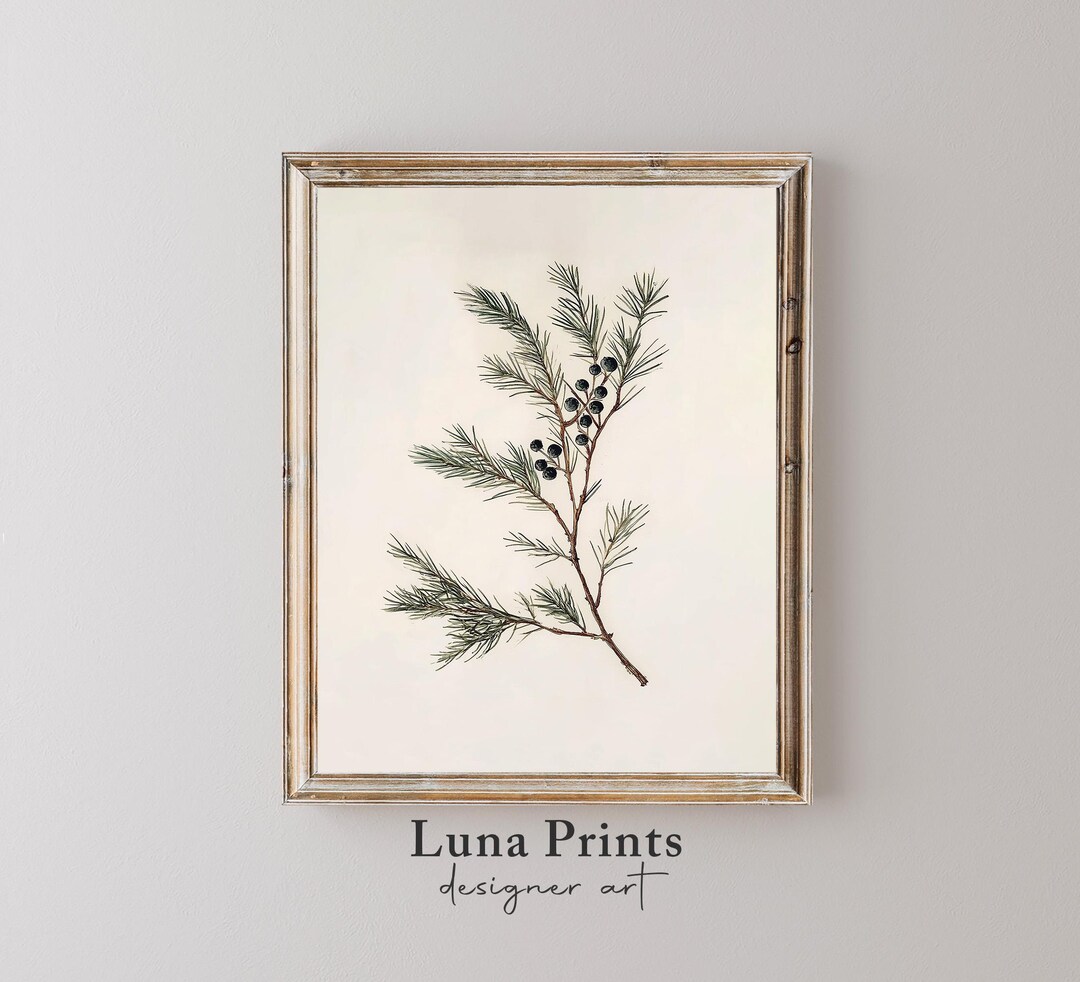 Juniper Stem Holiday Art, Printable Winter Botanical Print, Minimal ...