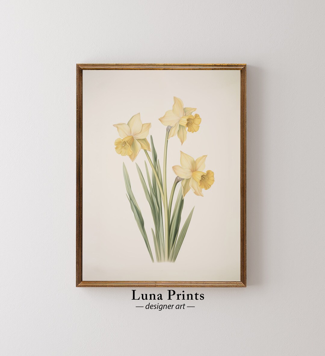 Daffodil Botanical Print, PRINTABLE ART, Vintage Botanical Art, Spring ...