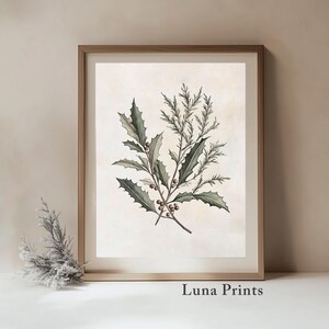 Vintage Holly Art, Printable Holly Berry Stems Christmas Wall Decor ...