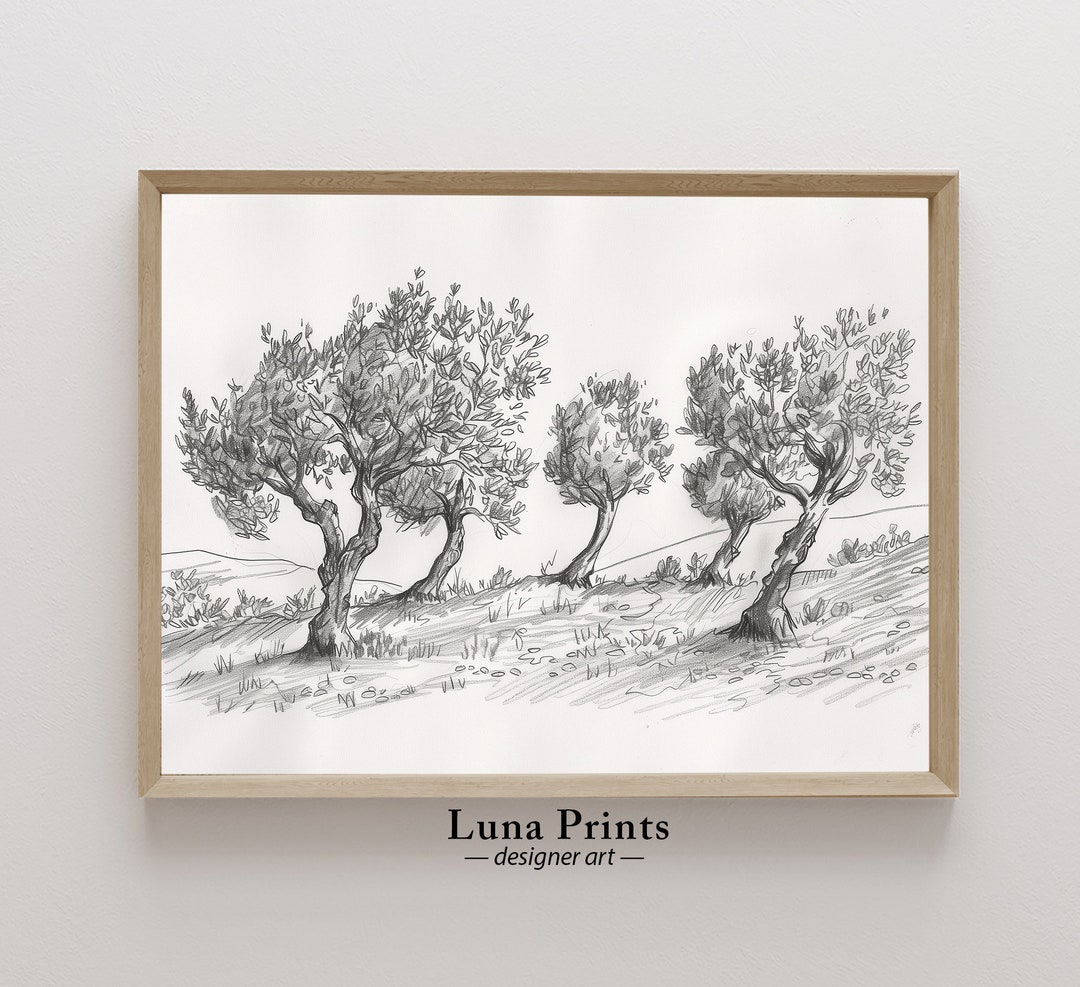 Vintage Olive Tree Sketch, PRINTABLE ART, Minimal Wall Art, Country ...