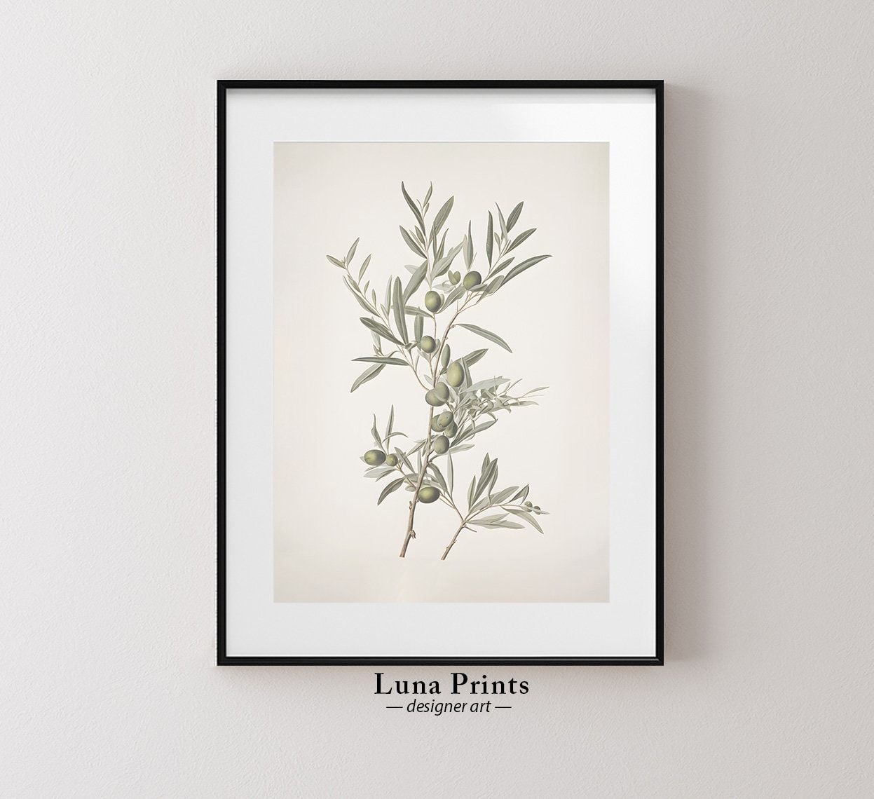 Olive Branch Botanical Print | PRINTABLE ART | Vintage Nature ...