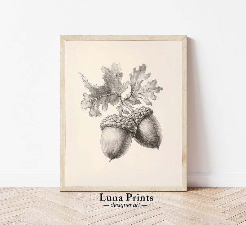 Vintage Acorn Art, PRINTABLE ART, Antique Fall Drawing, Neutral Autumn ...