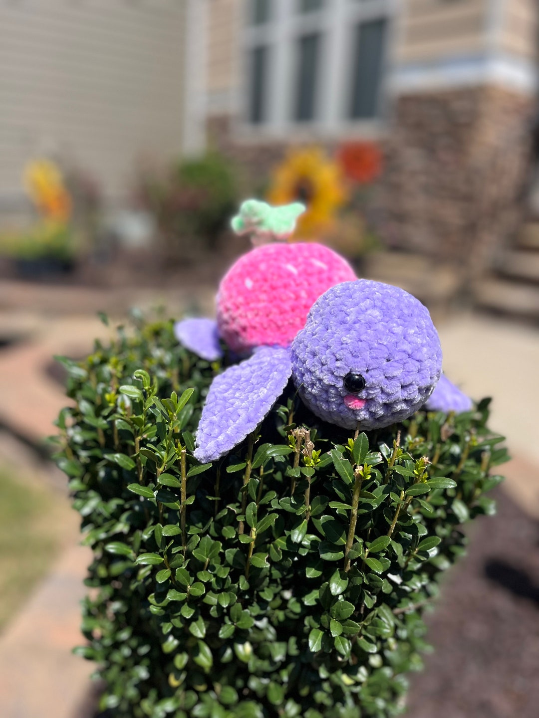 Customizable Crochet Strawberry Turtle - Etsy