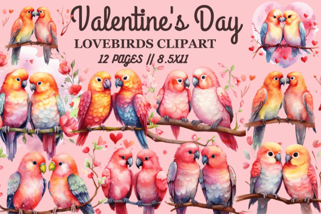 Watercolor Lovebirds PNG Bundle,romantic Bird Clipart, Lovebird Clipart ...