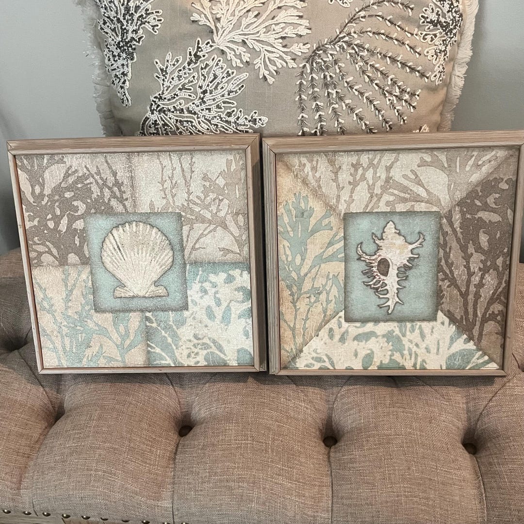 Pretty Coastal Conch Shell Wall Art Set - Etsy