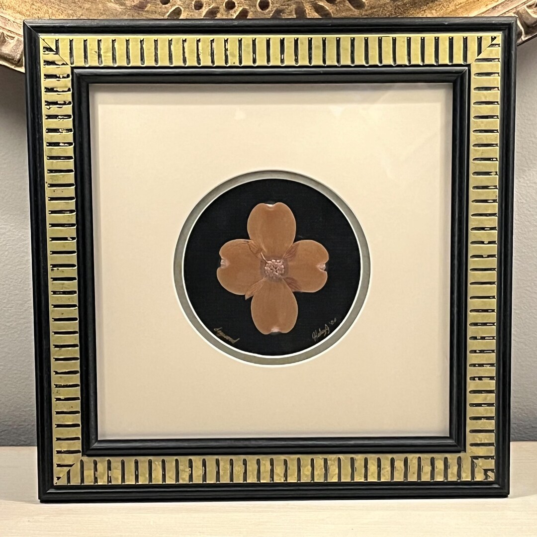 Intrinsic Natural Art Dried Dogwood Flower Framed by Haley J’s ...
