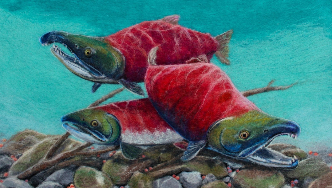 Alaskan Sockeye Salmon Art Print. 10x20 Inch Paper Print UNFRAMED ...