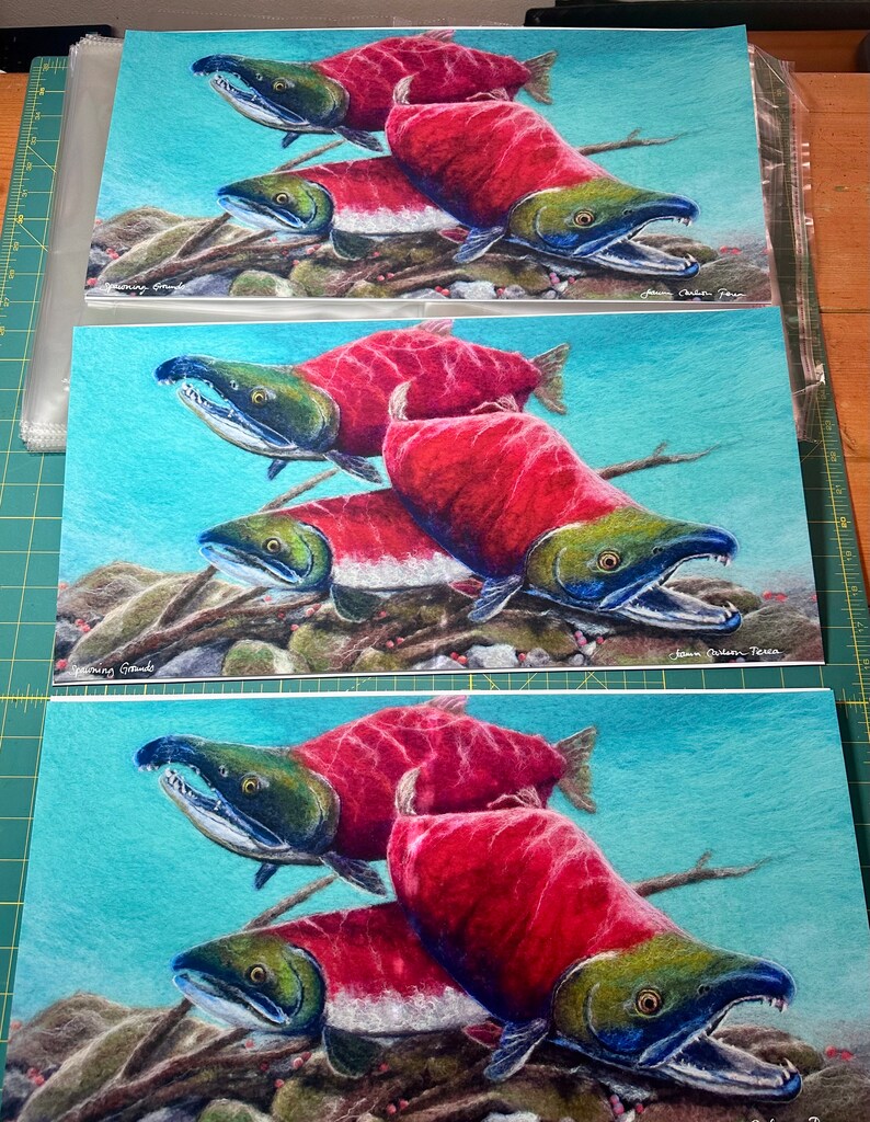 Alaskan Sockeye Salmon Art Print. 10x20 Inch Paper Print UNFRAMED ...