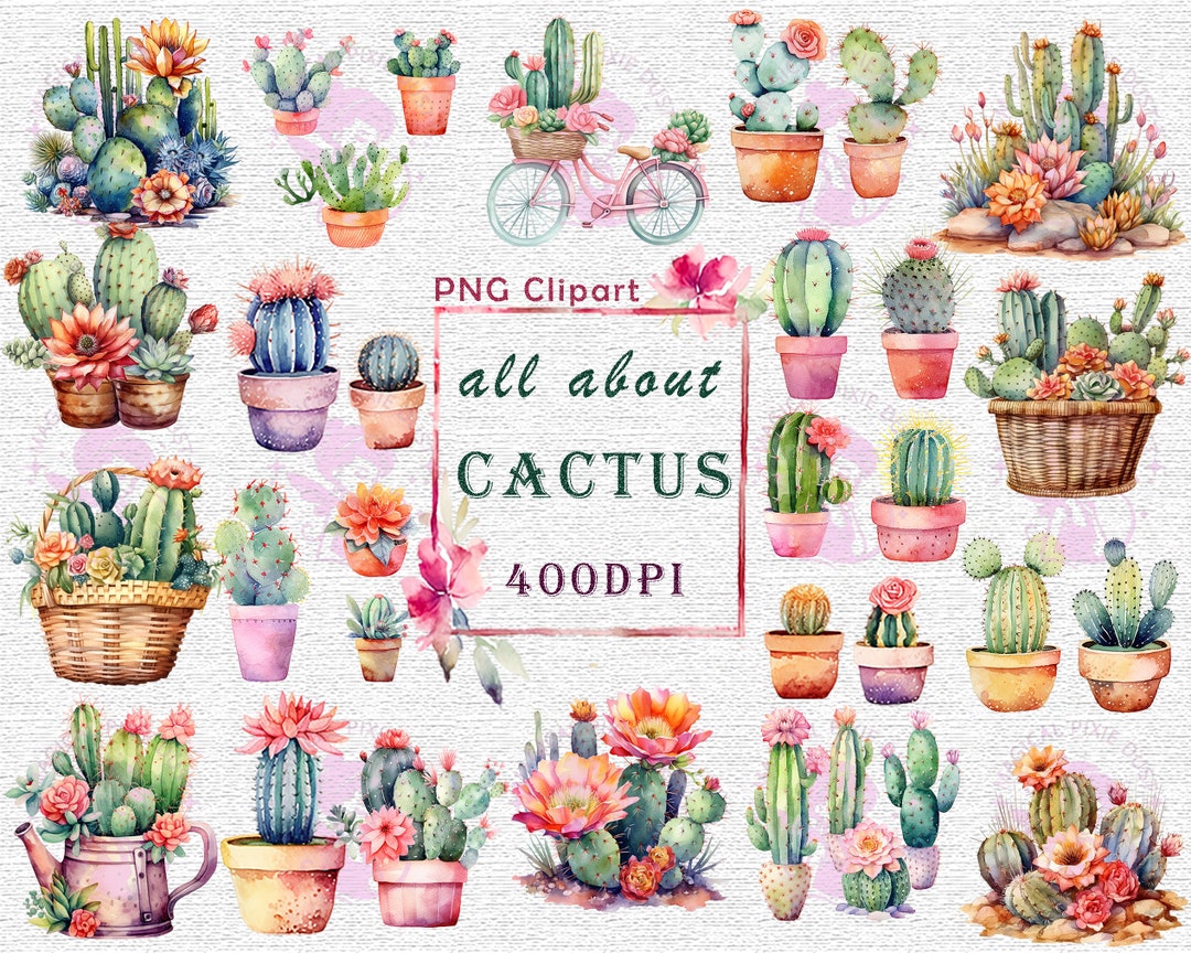 Watercolor Cactus Clipart, Summer Flower, PNG, Commercial Use - Etsy