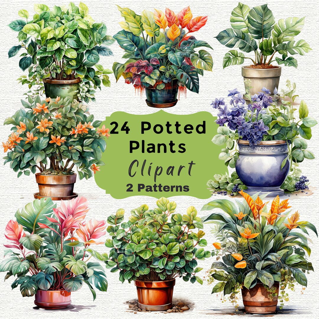24 Potted Plants Watercolor Clipart, 2 Seamless Patterns, High Quality ...