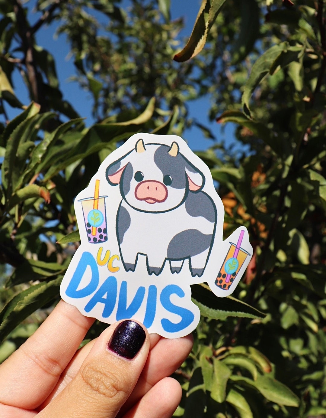 UC Davis Cute Cow Milk Tea Boba Matte Vinyl Sticker - Etsy
