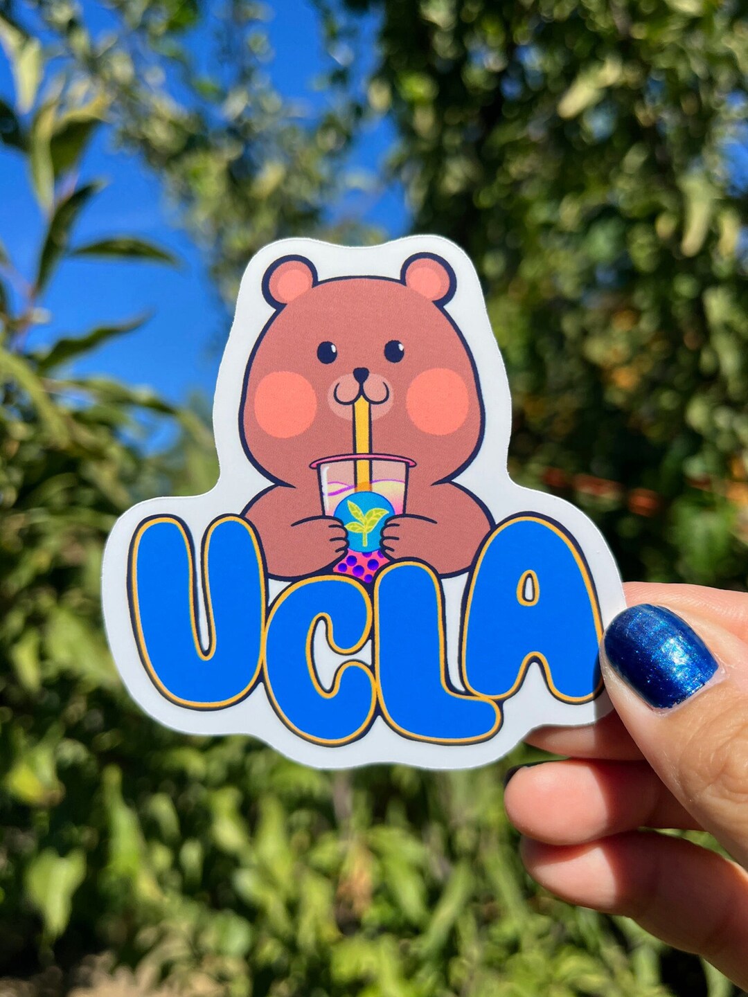Bruin Boba Bear Sticker / University College Laptop Decal - Etsy