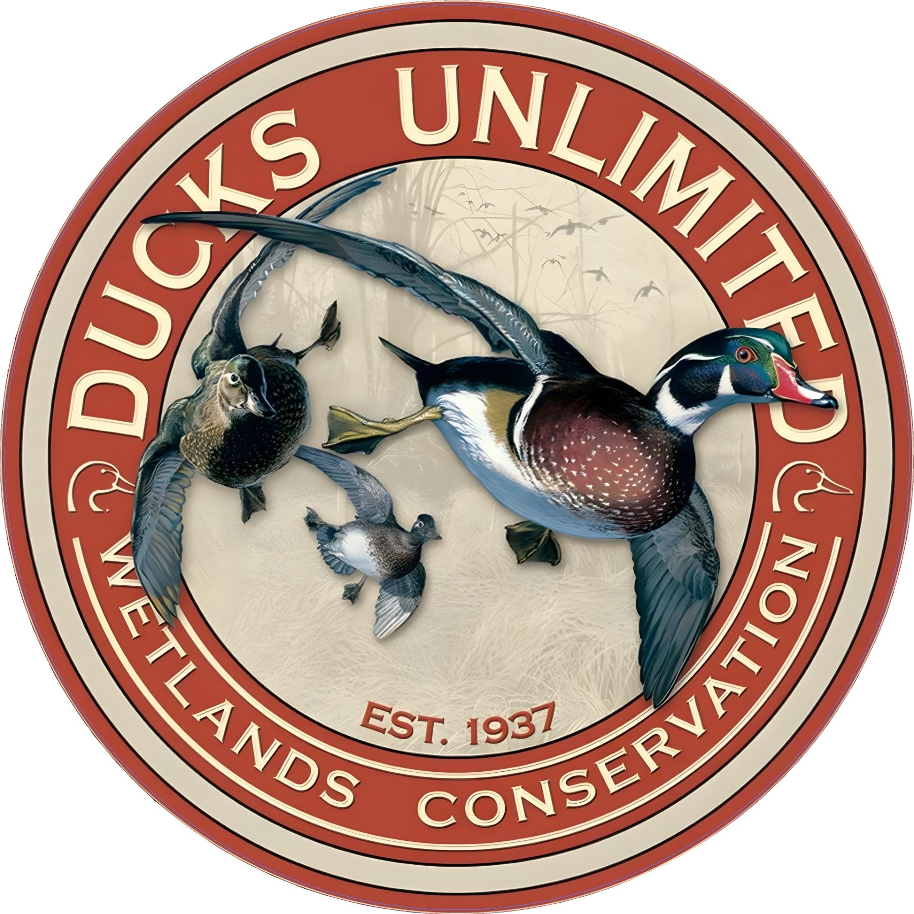Ducks Unlimited Windshield Decals