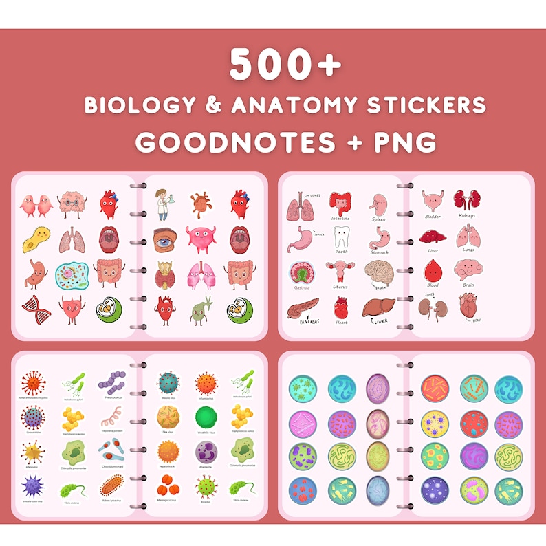 Biology Stickers, Anatomy Stickers, Digital Biology Stickers, Digital ...