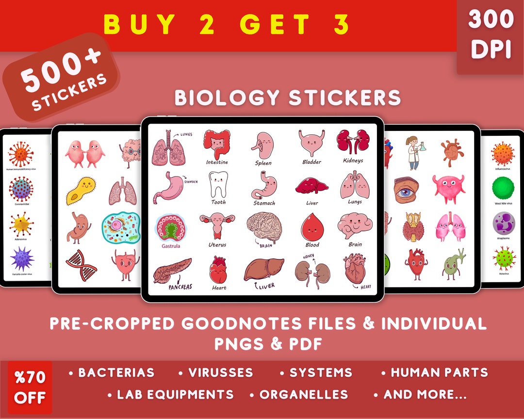 Biology Stickers, Anatomy Stickers, Digital Biology Stickers, Digital ...