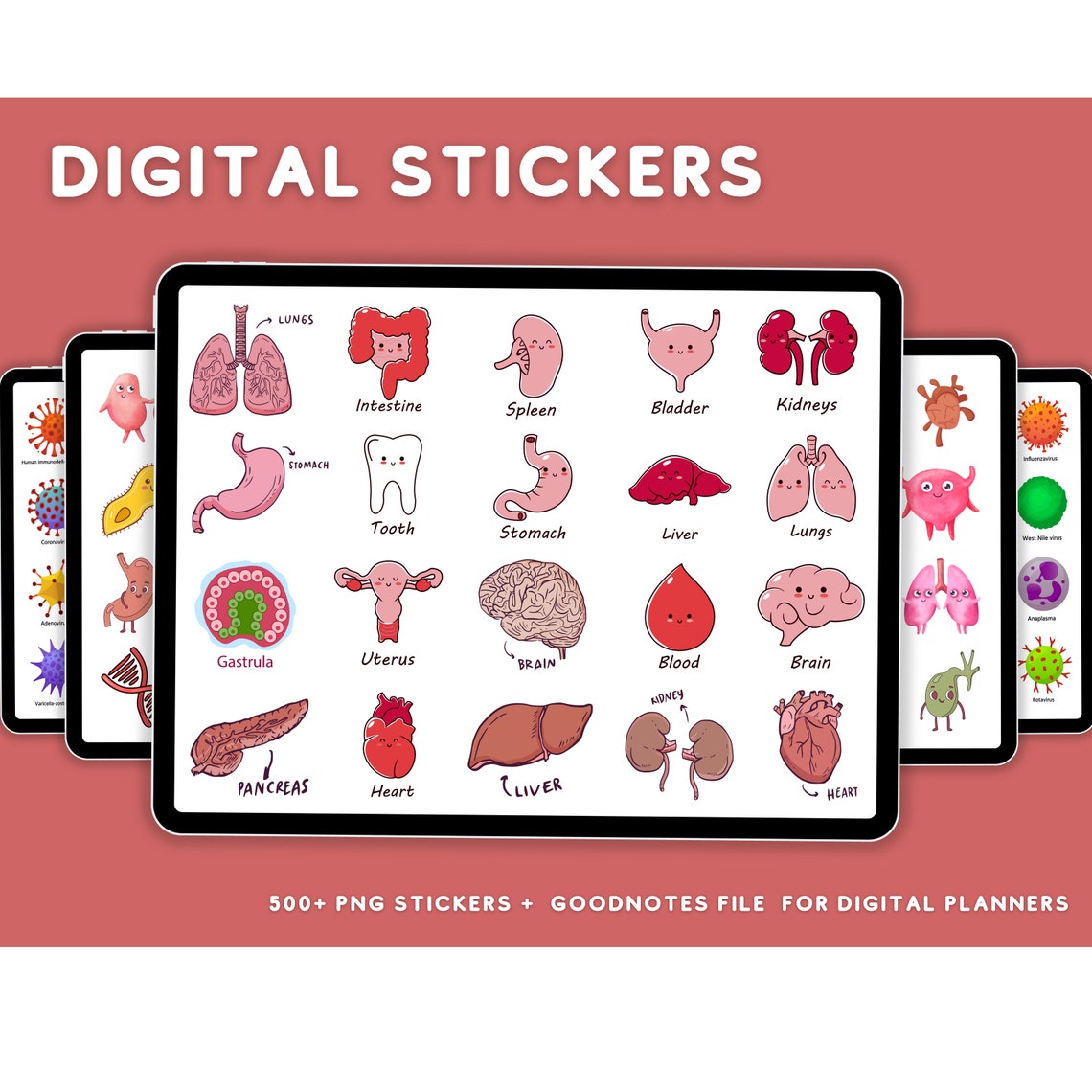 Biology Stickers, Anatomy Stickers, Digital Biology Stickers, Digital ...