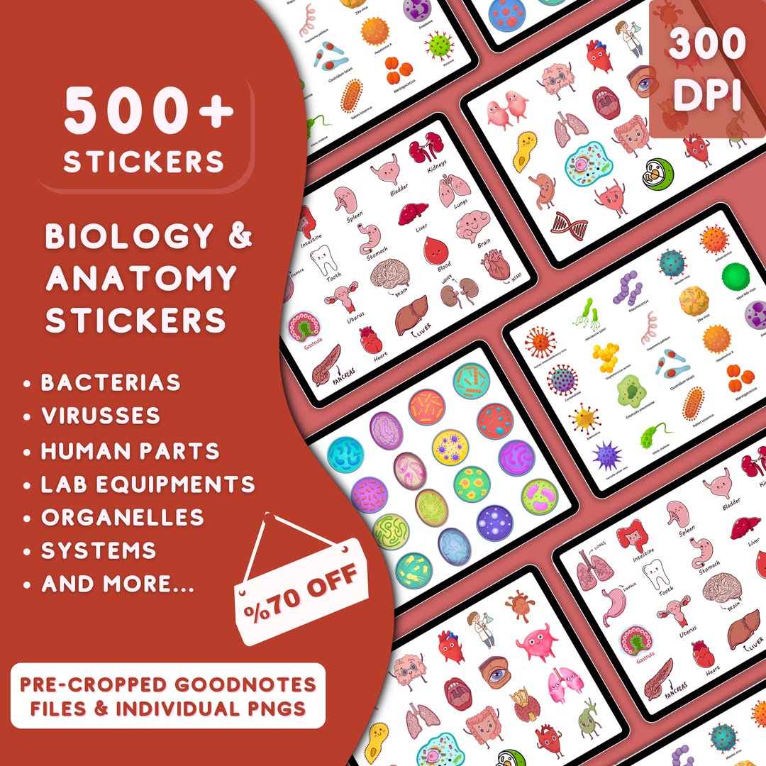Anatomy Stickers Biology Stickers Human Anatomy Stickers - Etsy