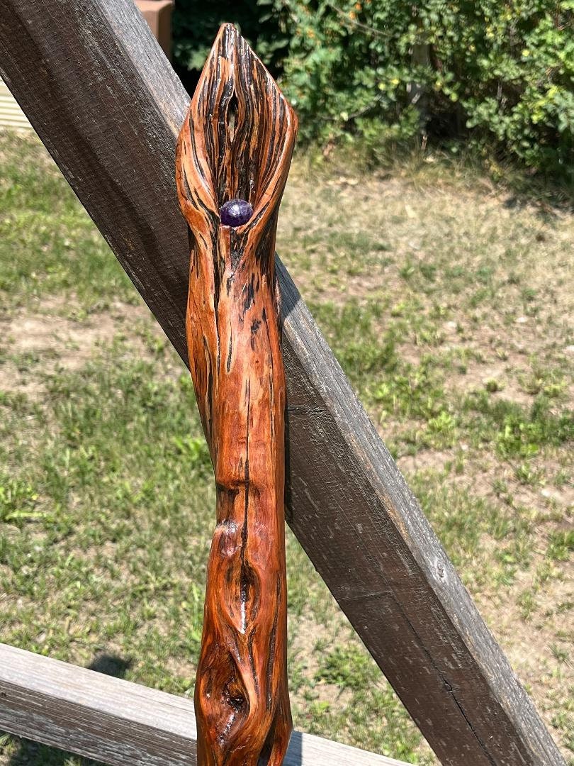 Diamond Willow Walking Stick - Etsy