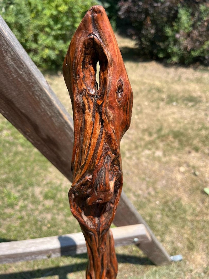 Diamond Willow Walking Stick - Etsy