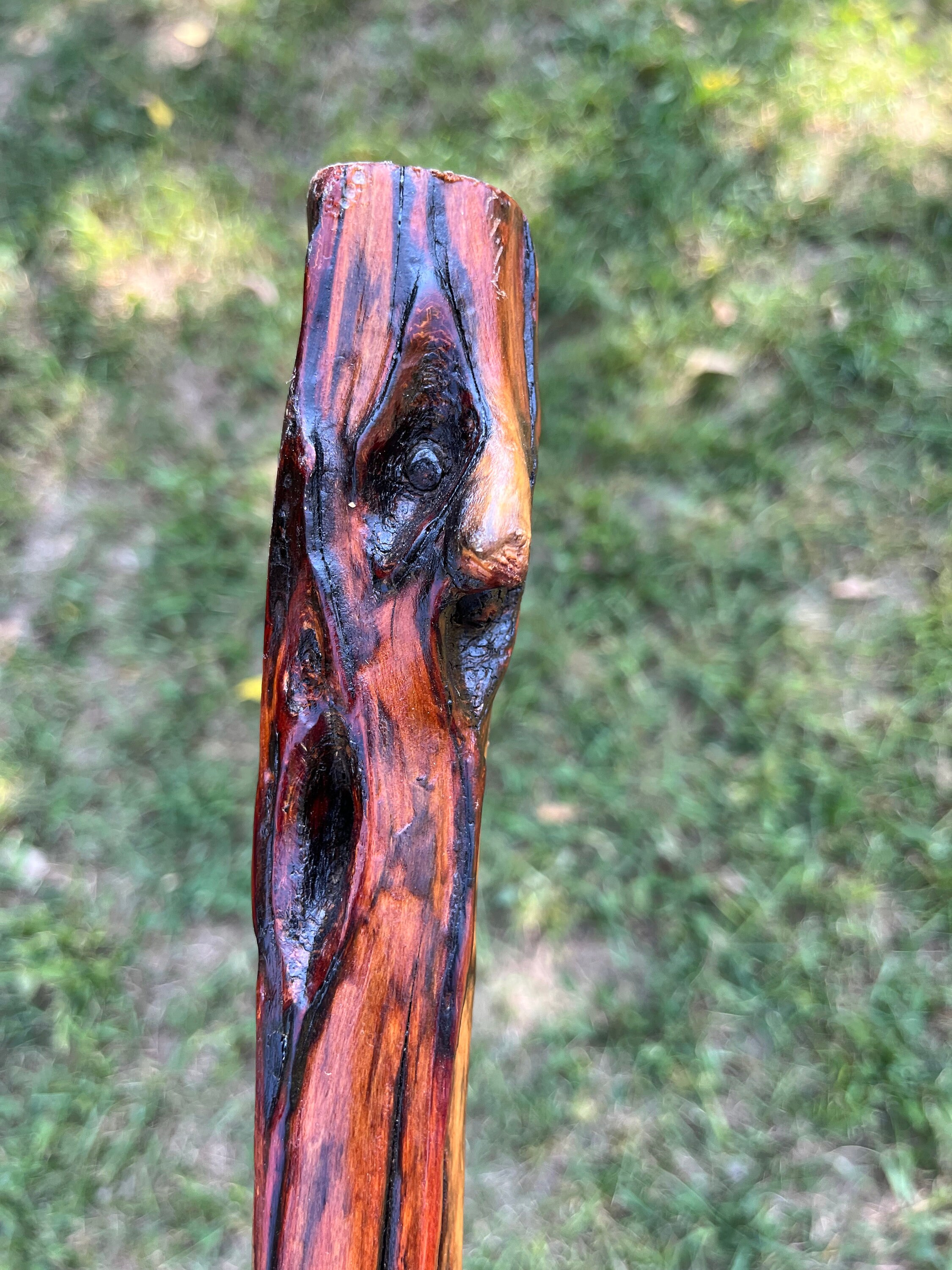 41" Diamond Willow Cane - Etsy