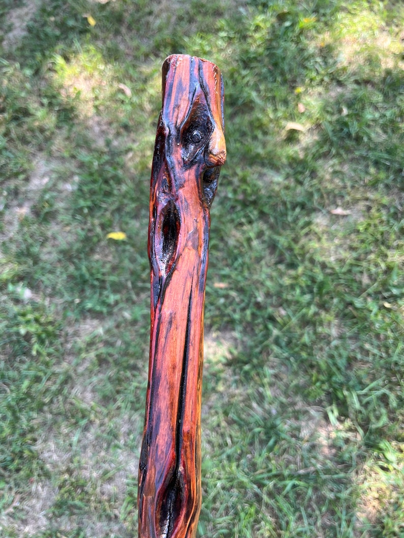 41" Diamond Willow Cane - Etsy