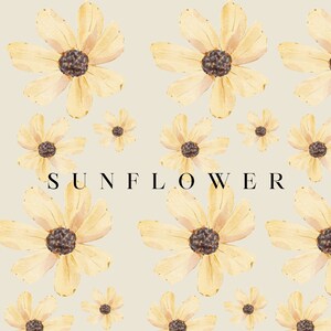 Neutral Flowers Desktop Wallpaper Modern Aesthetic Laptop Background ...