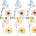 Neutral Flowers Desktop Wallpaper Modern Aesthetic Laptop - Etsy