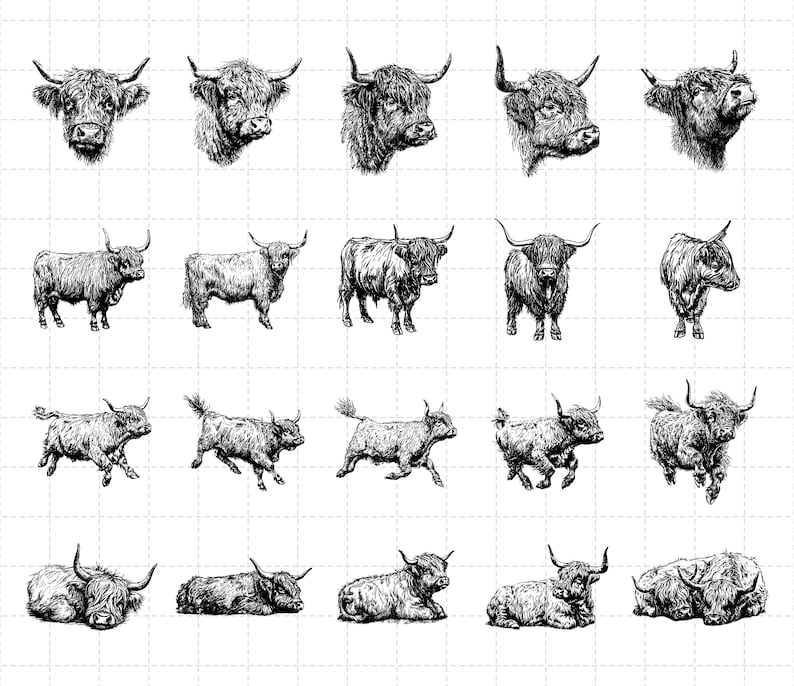 Highland Cow Svg Bundle, Cow Vector Illustration, Vintage Cattle Design, Cow Head Clipart ...