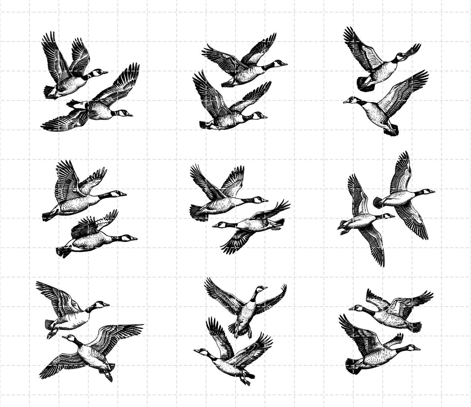 Geese Birds Svg Bundle, Vintage Vector Illustration, Retro Bird Design ...